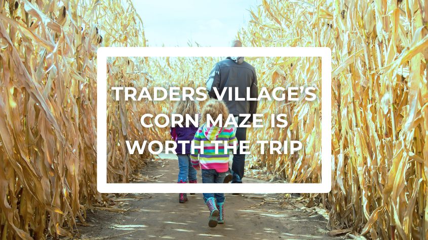 The Best Things to Do in New Braunfels Today- The New Braunfels Life